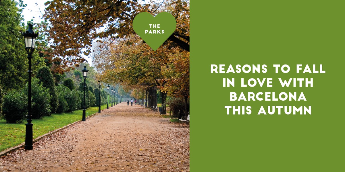 Fall In Love With Barcelona This Fall